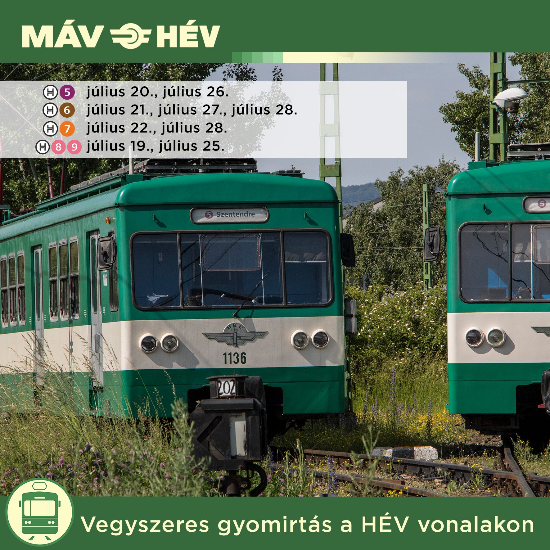 Gyomírtás a HÉV vonalak mentén - Szigetszentmiklos